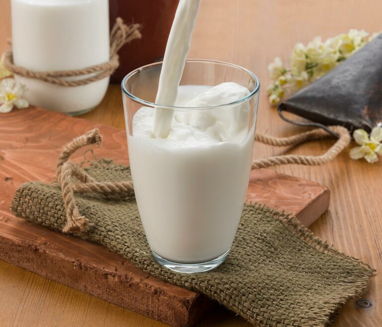 Reda spa - food processing plants